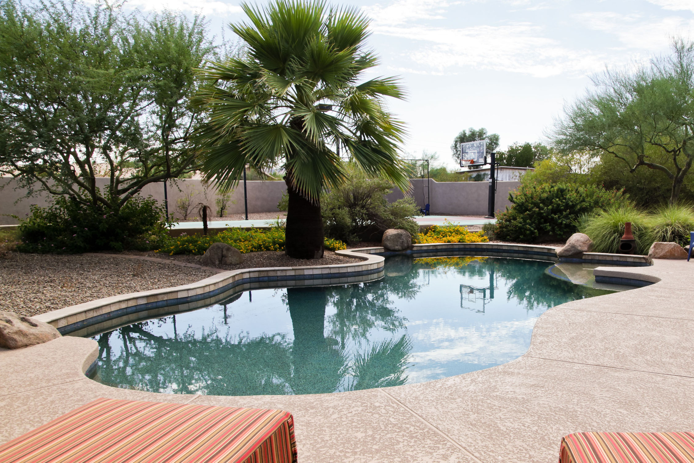 Shasta February Remodel Feature - Shasta Pools